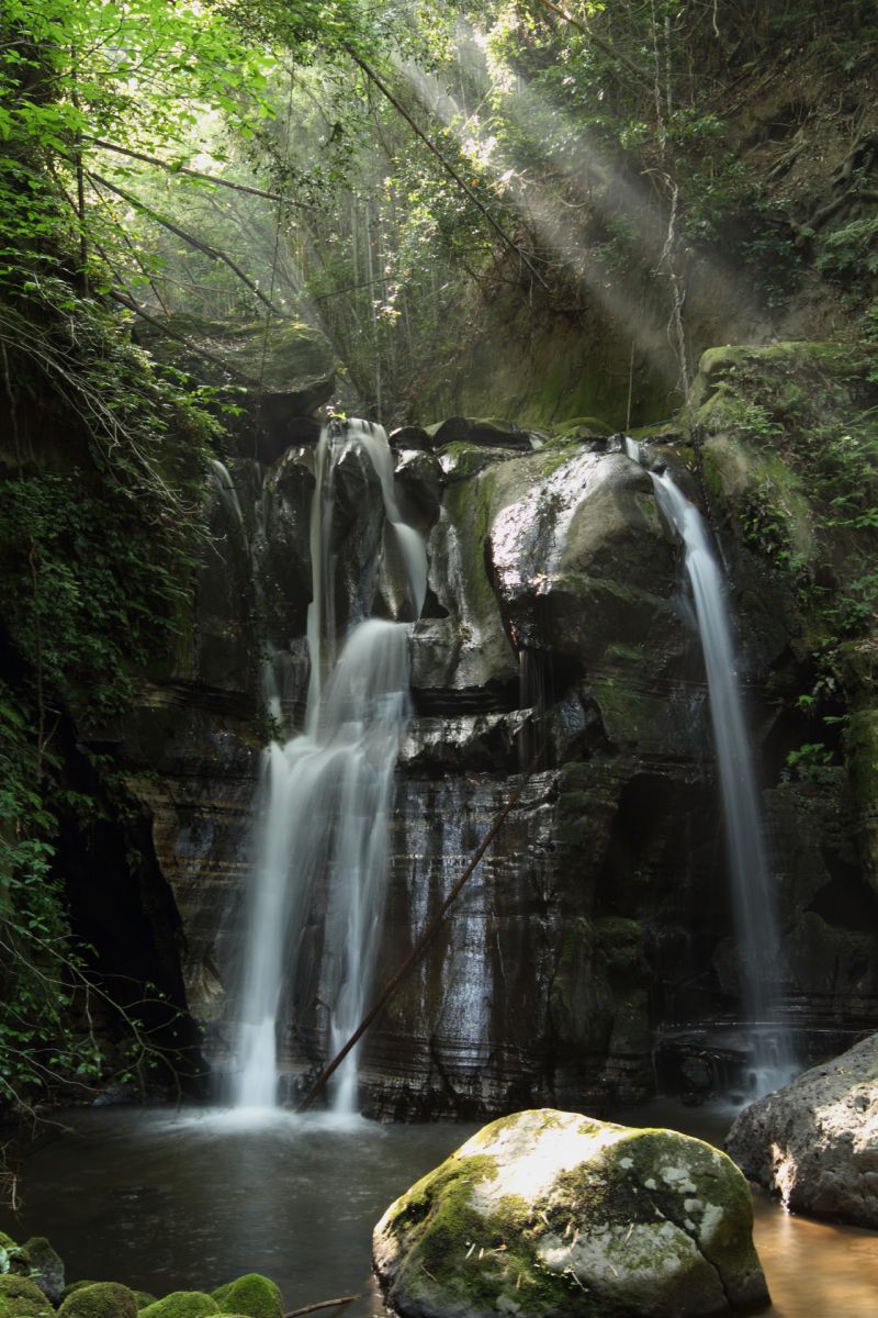 誰も知らない、河内渓谷の物語 | GANREF