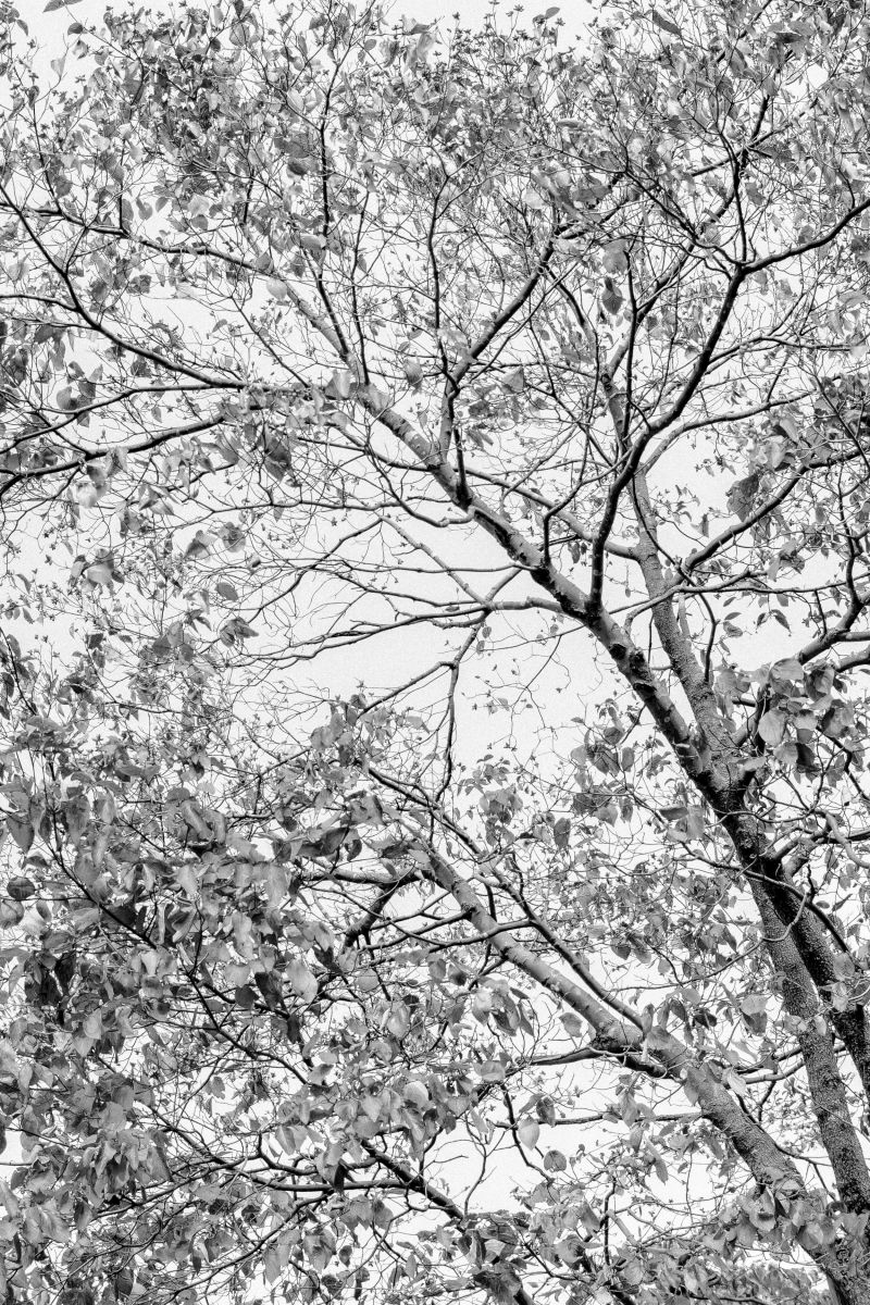 Cracks in the air | GANREF