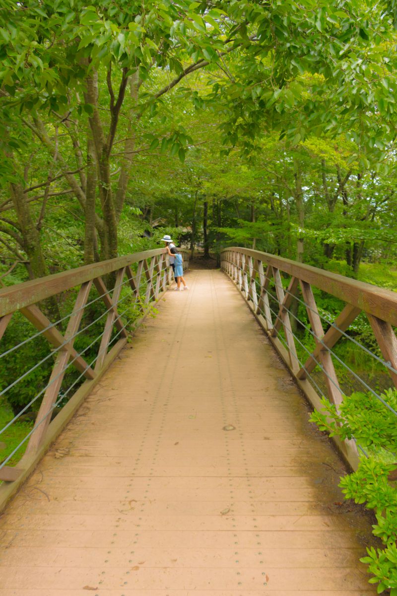On the bridge | GANREF