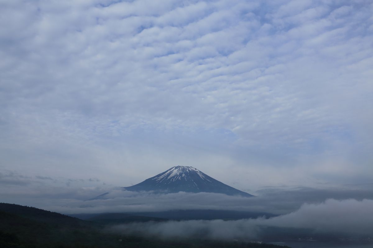初夏の気配 | GANREF