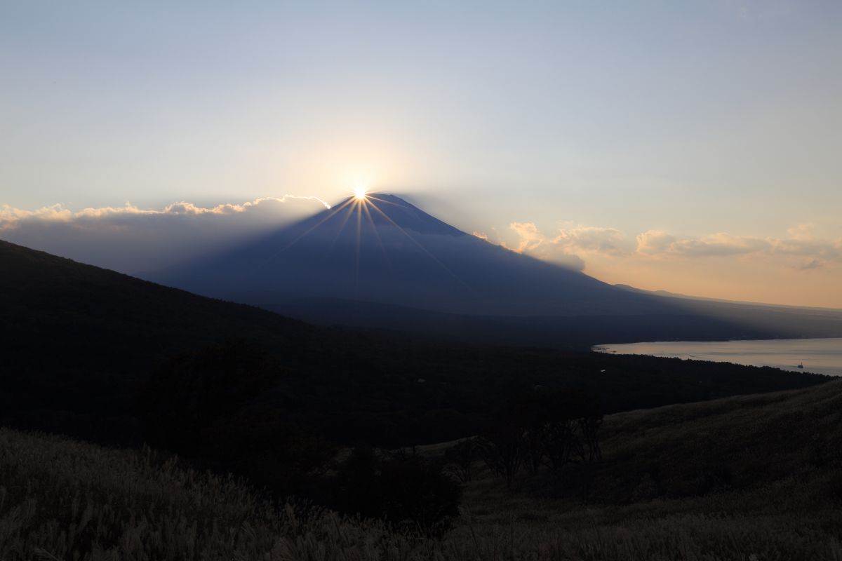 Autumn diamond | GANREF