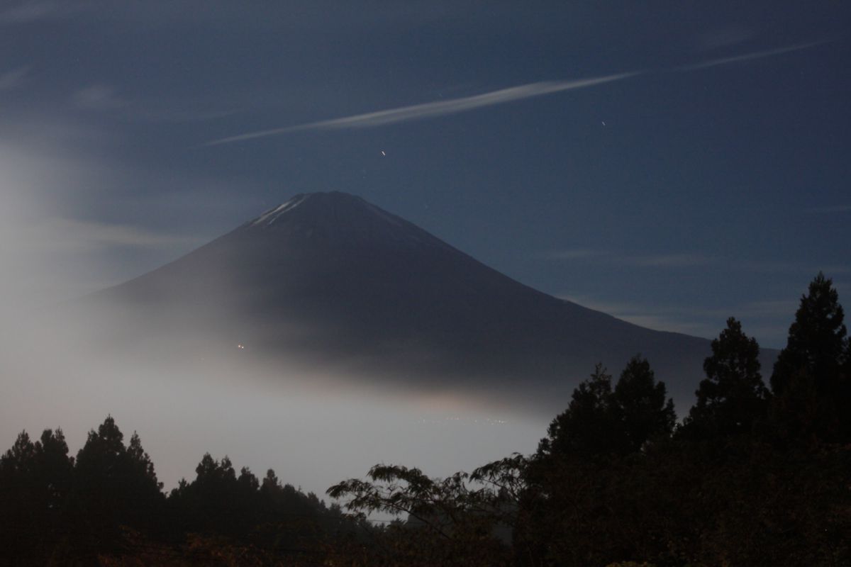 白を纏って | GANREF