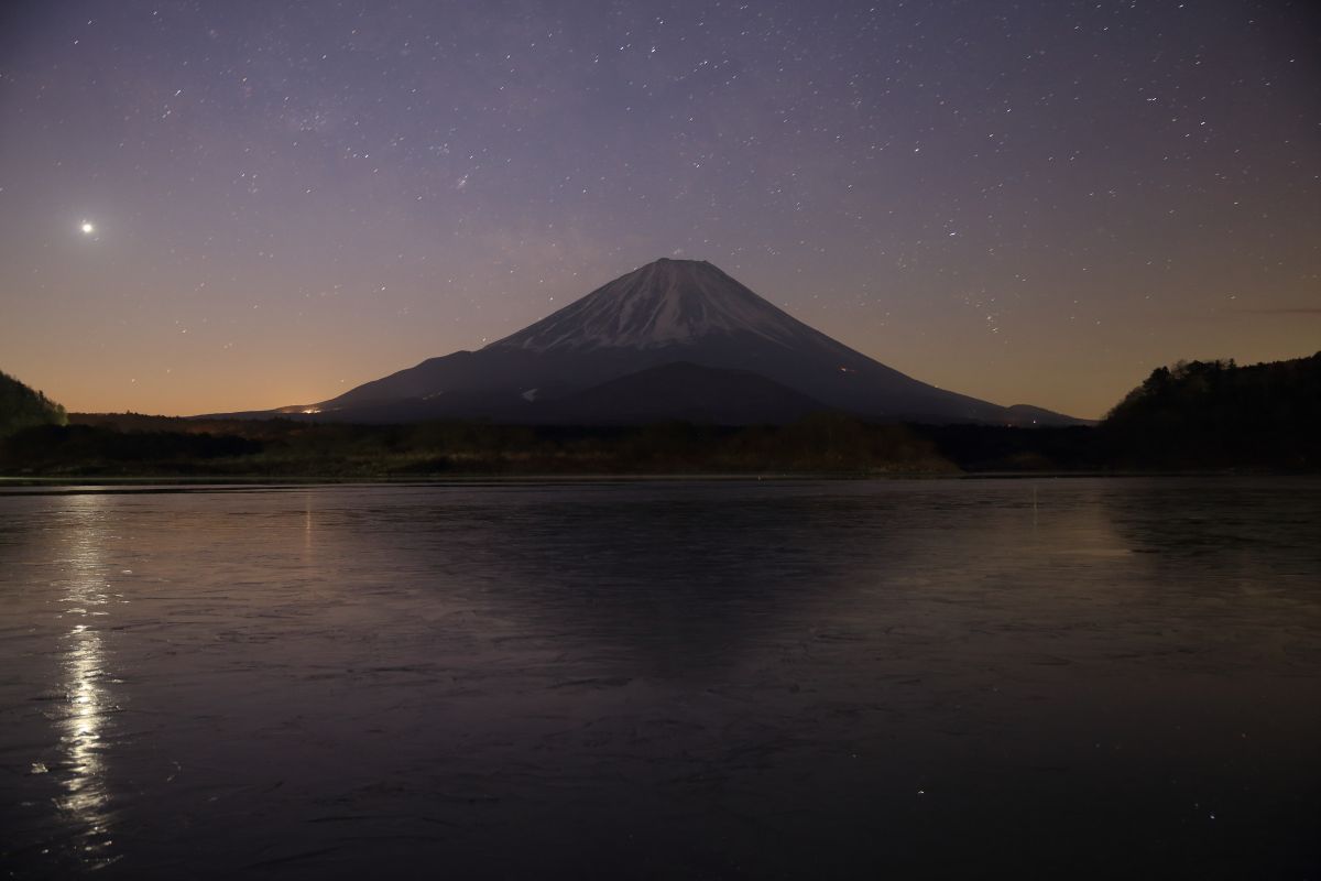 ヴィーナスの煌き | GANREF