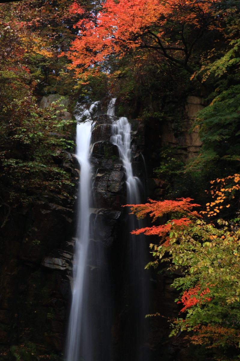 小野の滝 | GANREF