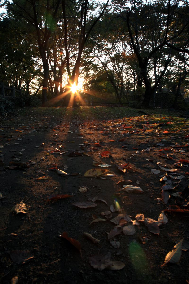 夕暮れ時 | GANREF