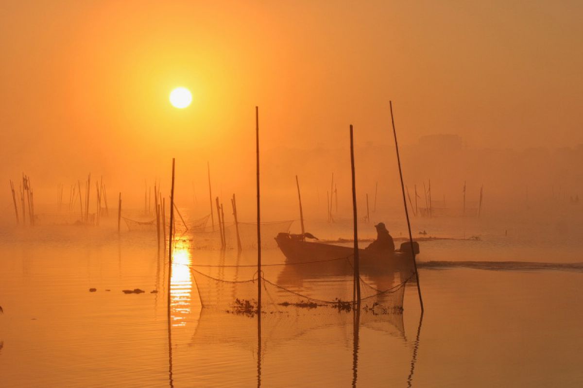 In the mist | GANREF