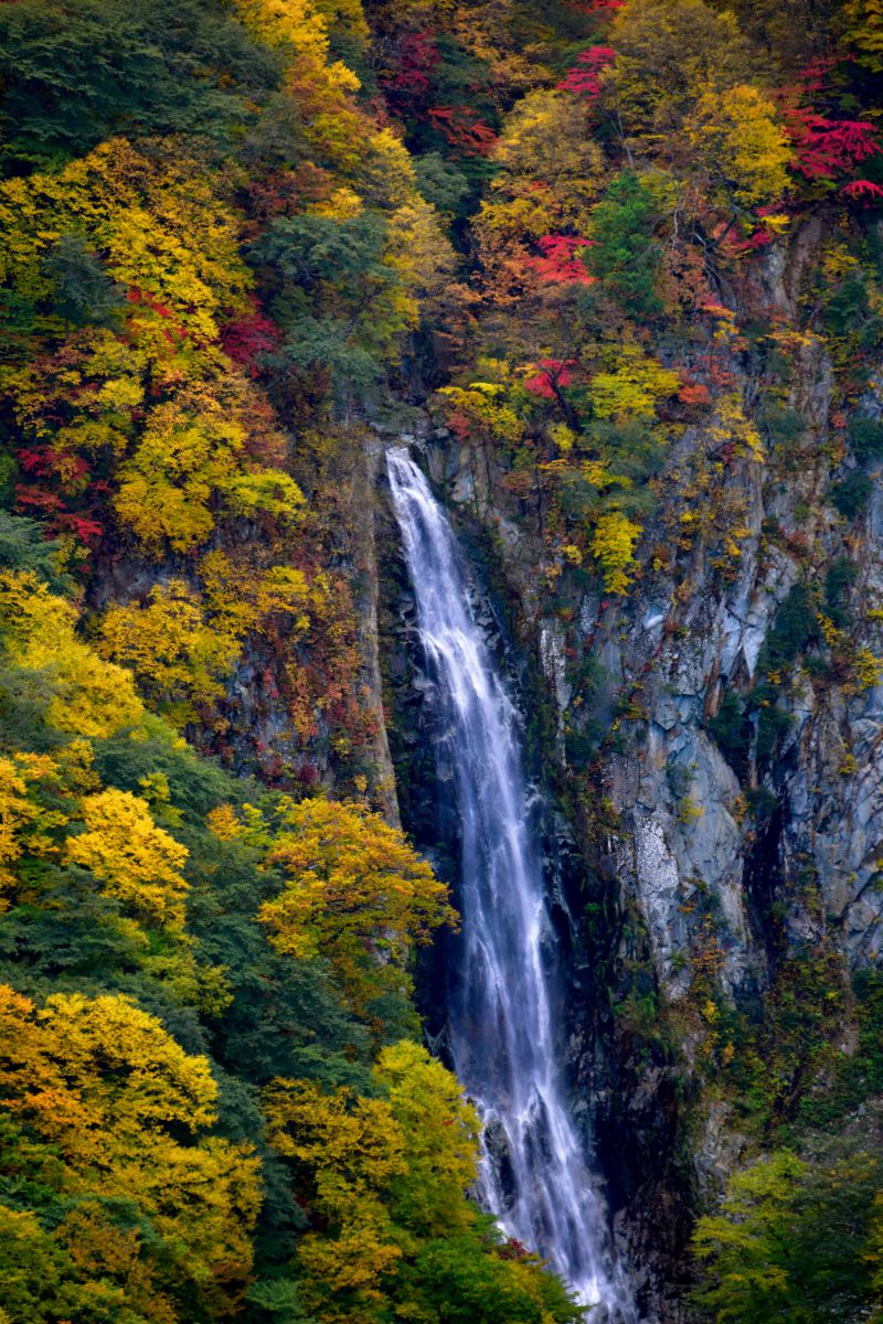 秋を感じて | GANREF