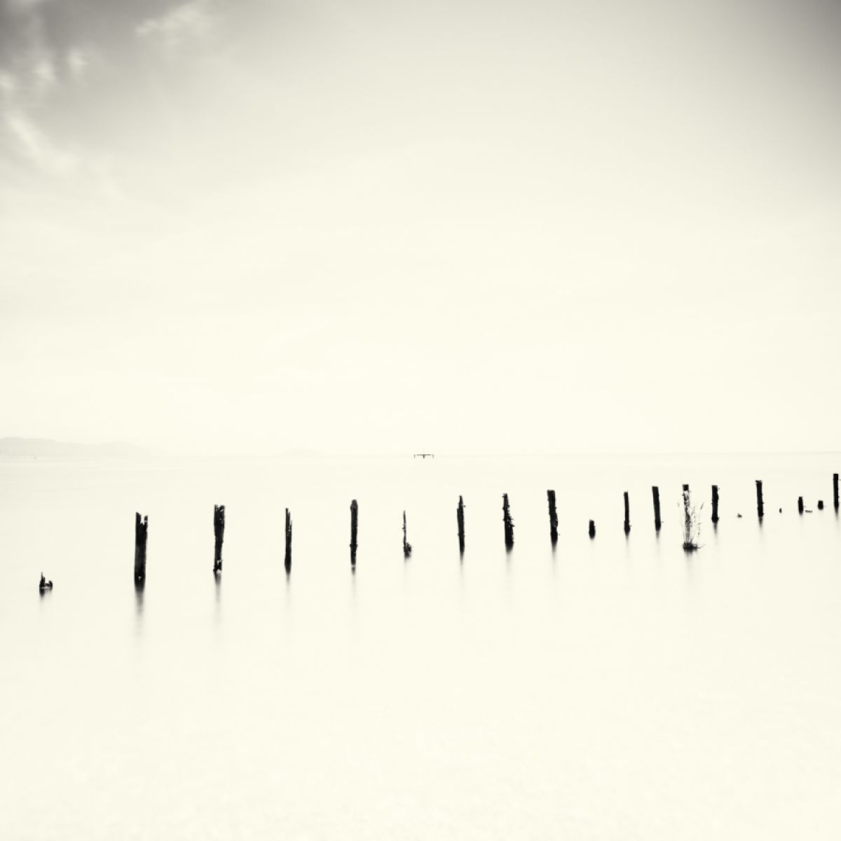 sticks in raw | GANREF