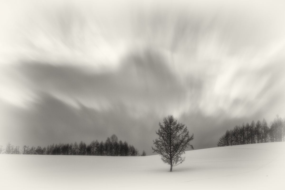 stand alone | GANREF