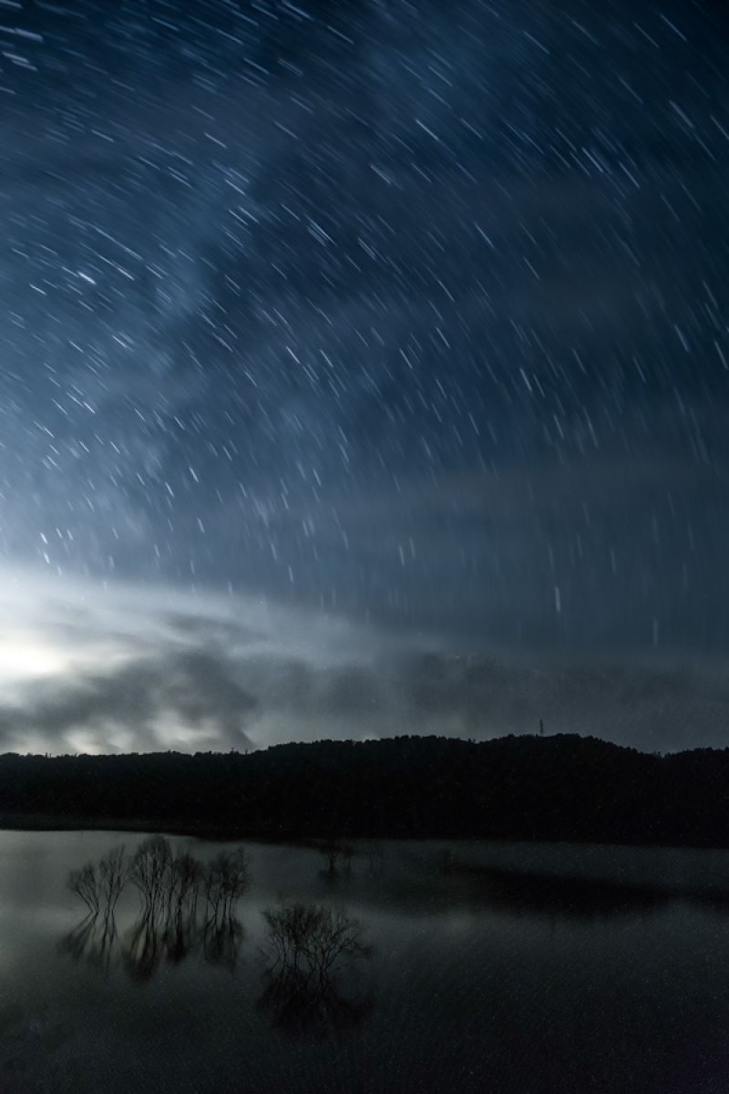 stary night | GANREF