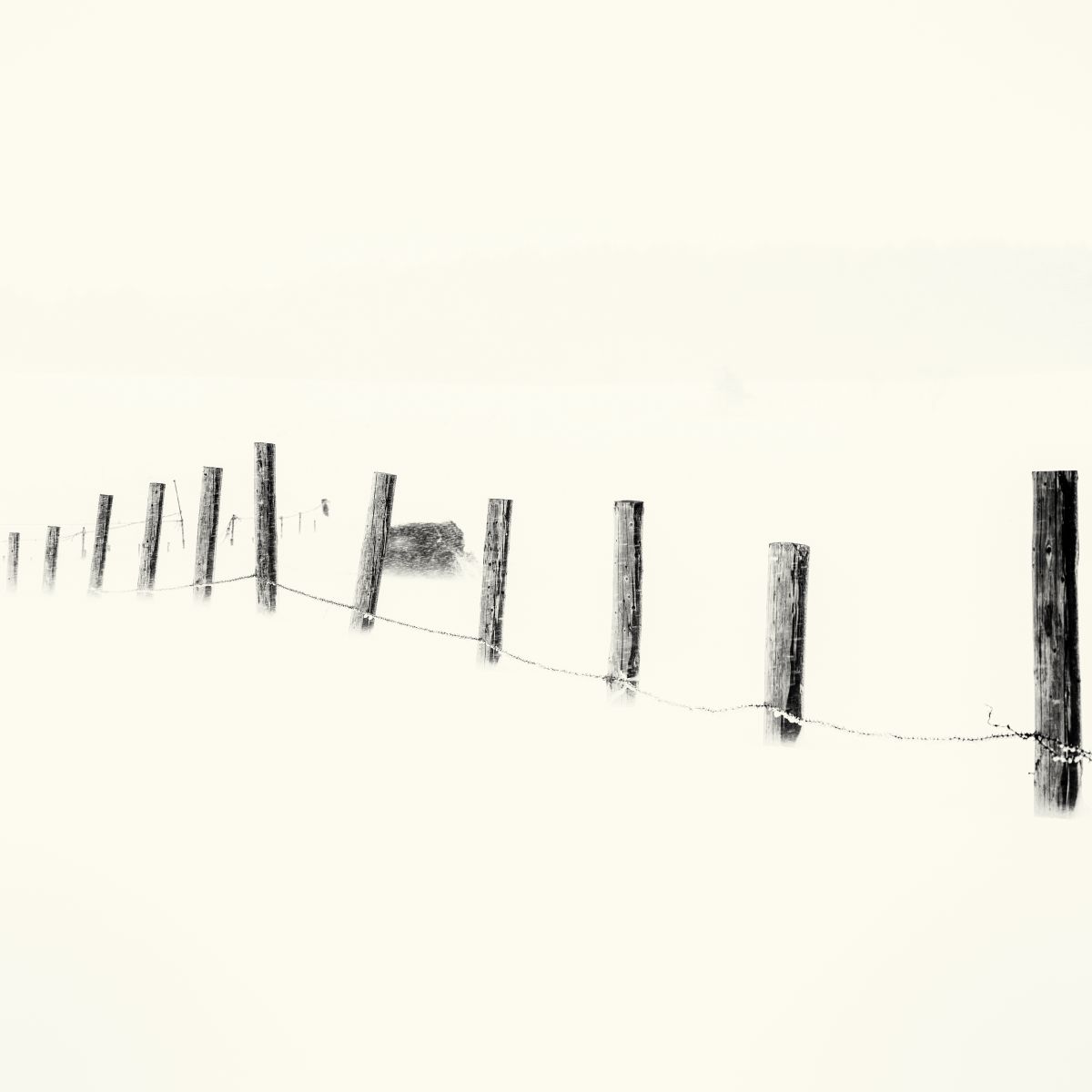 eleven poles | GANREF