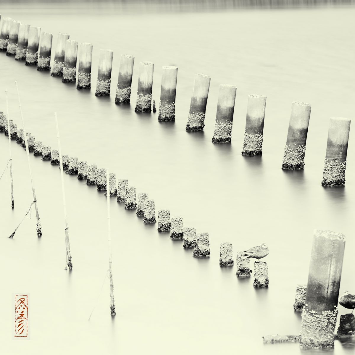 poles in raw | GANREF