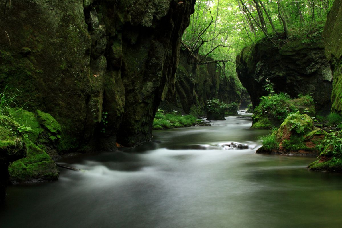 ガローに立つ | GANREF