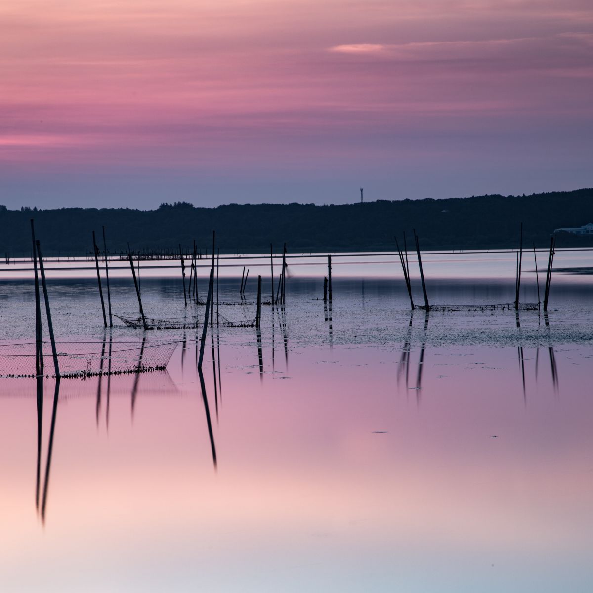 breaking dawn | GANREF