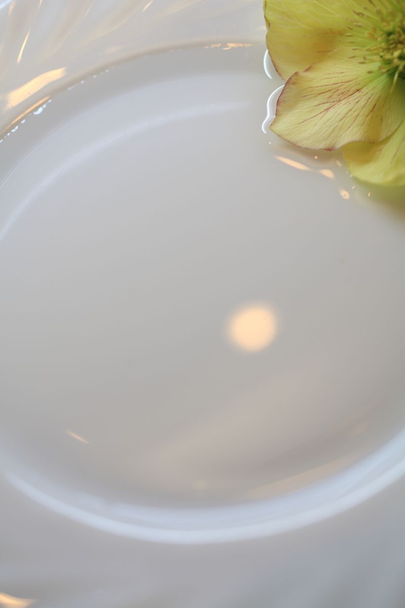 クリロー -vein- | GANREF