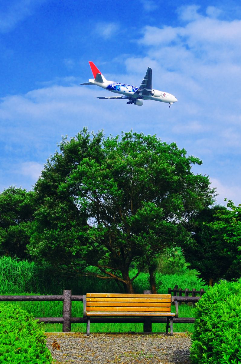 二人だけのベンチ | GANREF