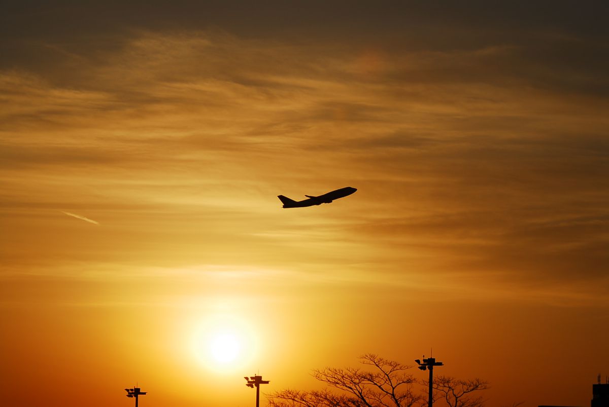 黄金の翼 | GANREF