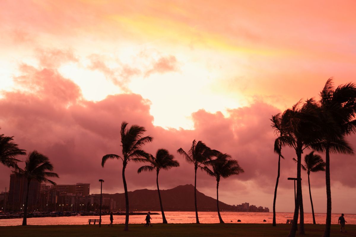 The Morning Of Pink Air | GANREF