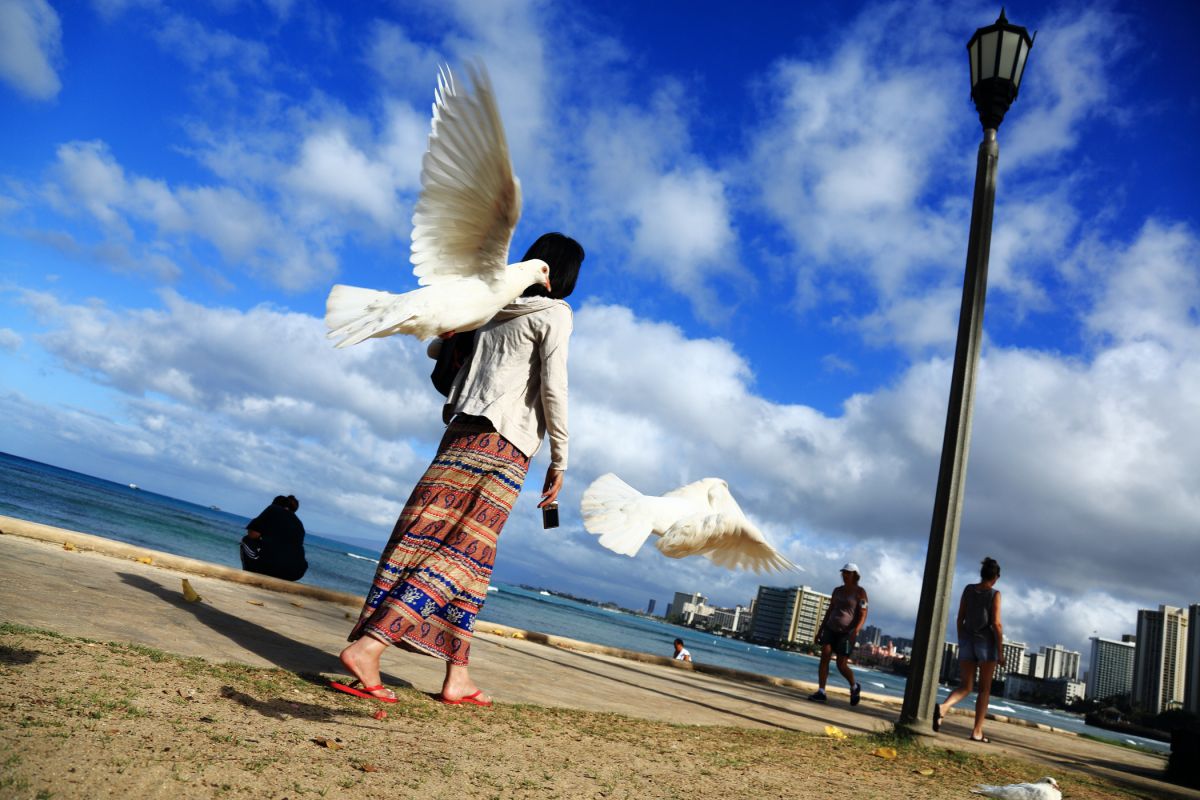 Angel Wings | GANREF