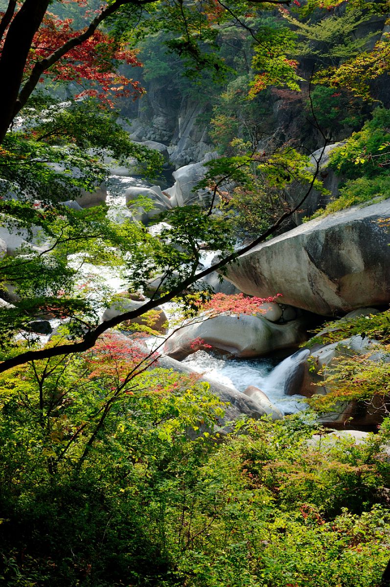 DSC_3285.jpg | GANREF