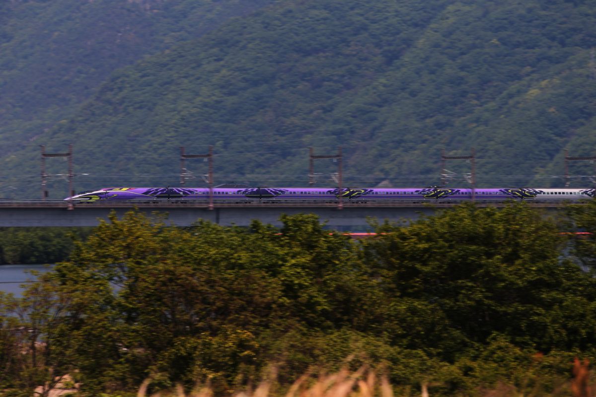 500 TYPE EVA | GANREF