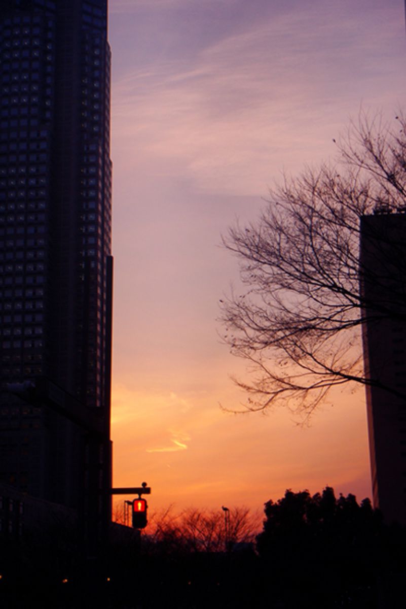 夕焼け -Sunset- | GANREF