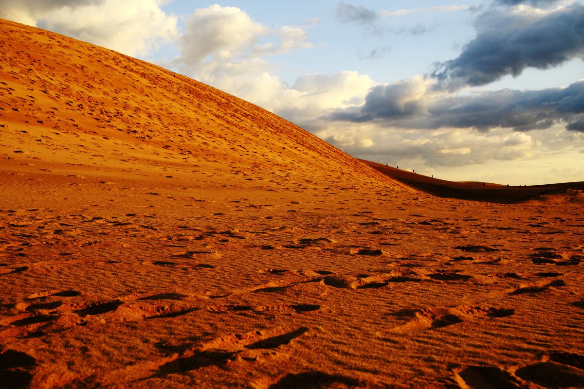 Another world | GANREF