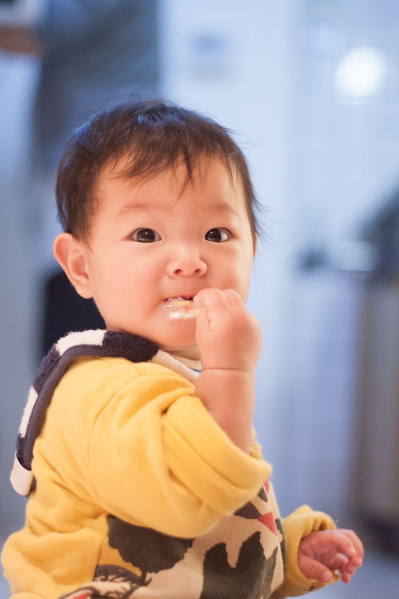 ヤシノンDS 1.7/50 | GANREF