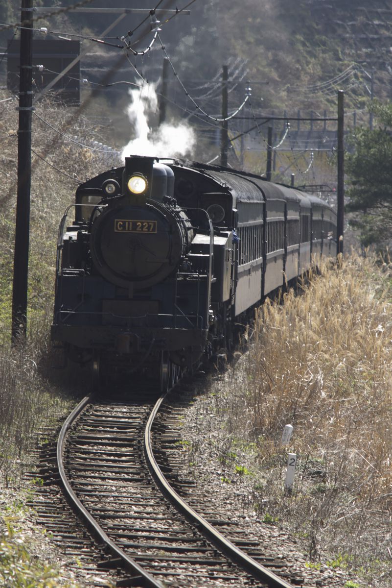 大井川鐵道のC11型蒸気機関車 | GANREF