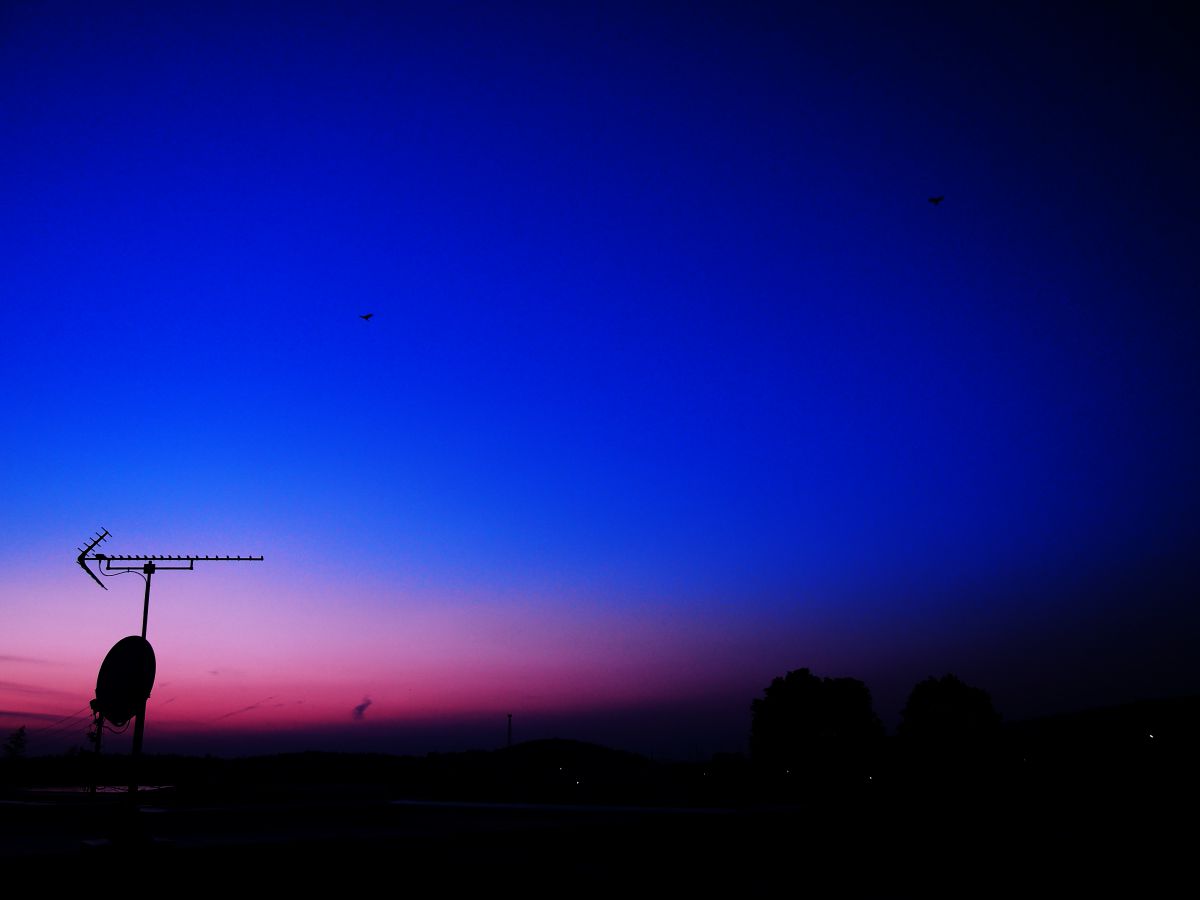 From This Roof | GANREF