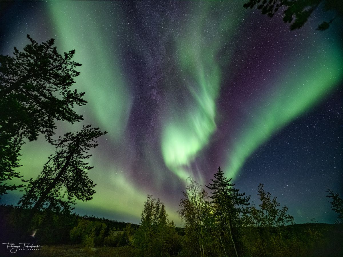 Heavenly blessing | GANREF