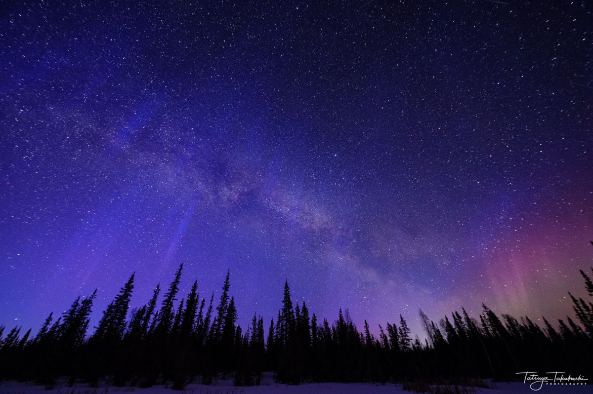 Mystic Blue | GANREF