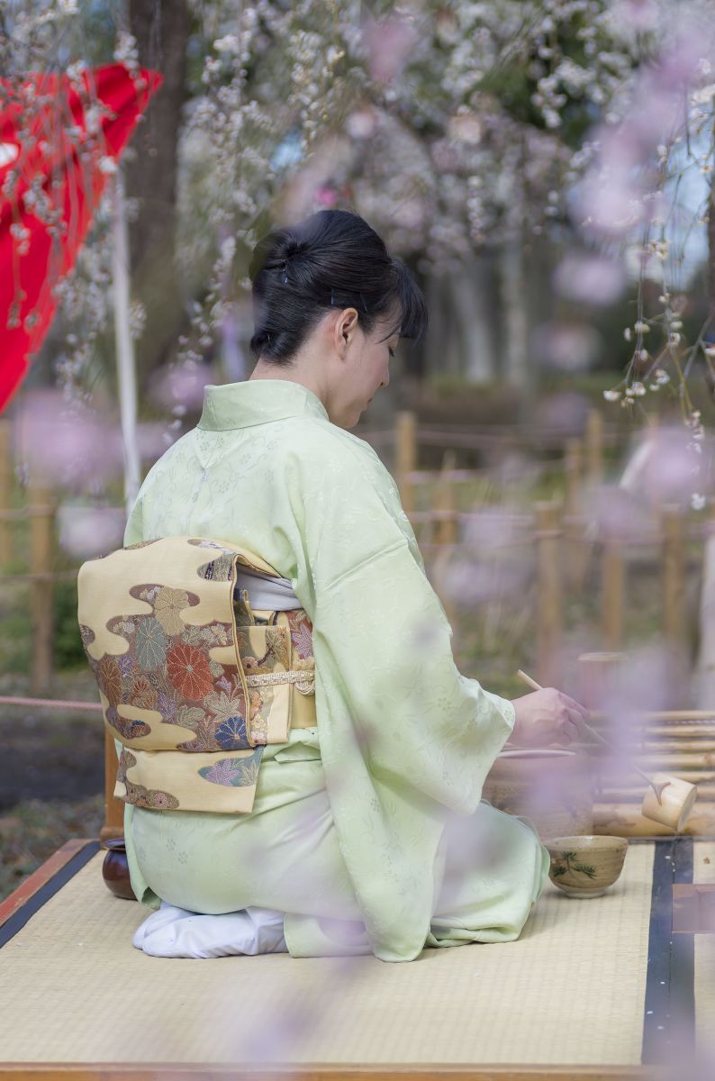 桃色の茶会 | GANREF