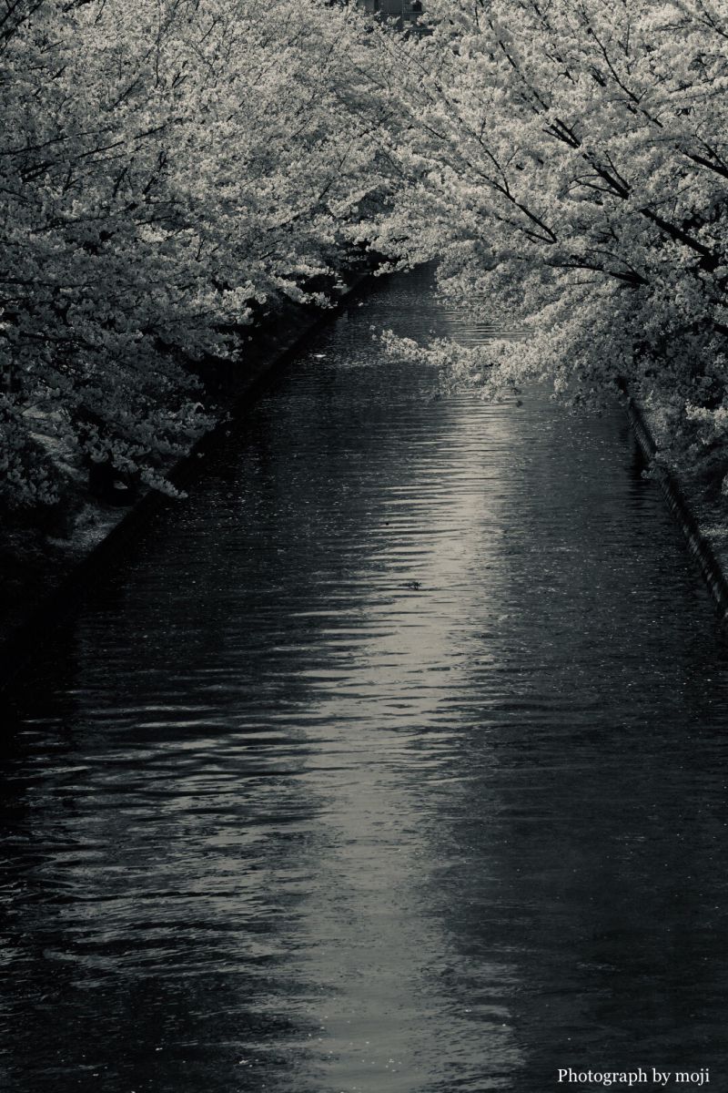 spring has come | GANREF