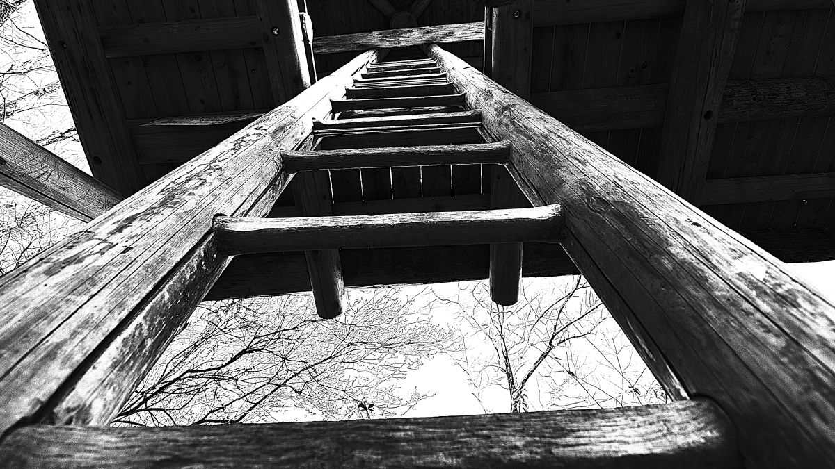 Secret base | GANREF