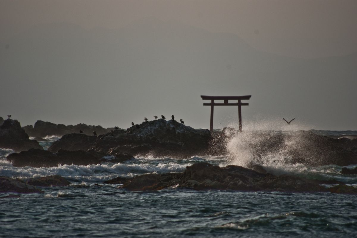 鳥居と波 | GANREF