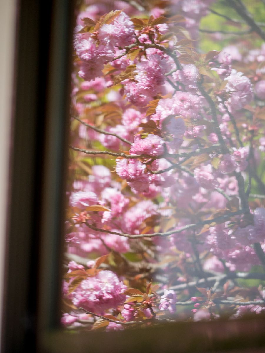 Photo frame | GANREF