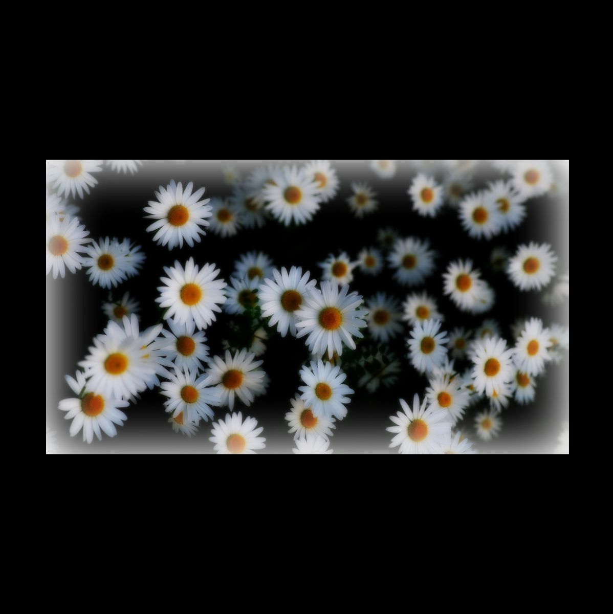 はな・はな | GANREF