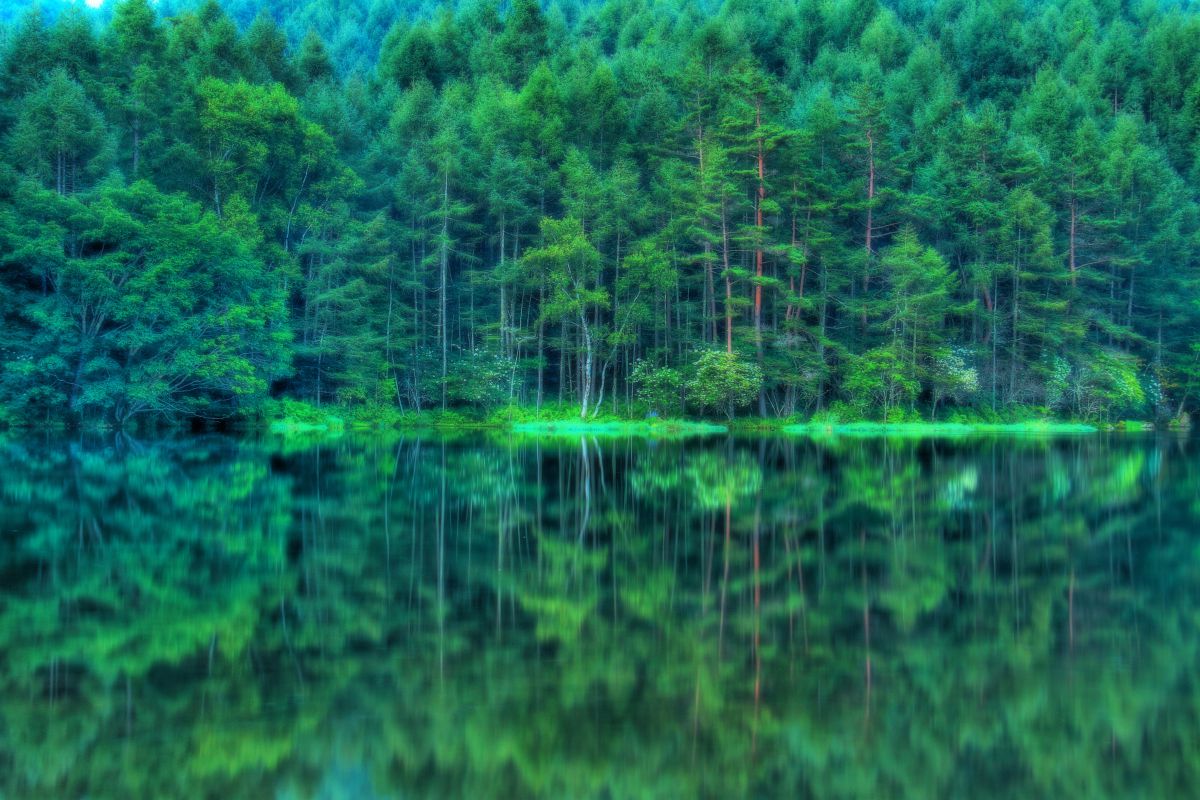 Impact of silence | GANREF