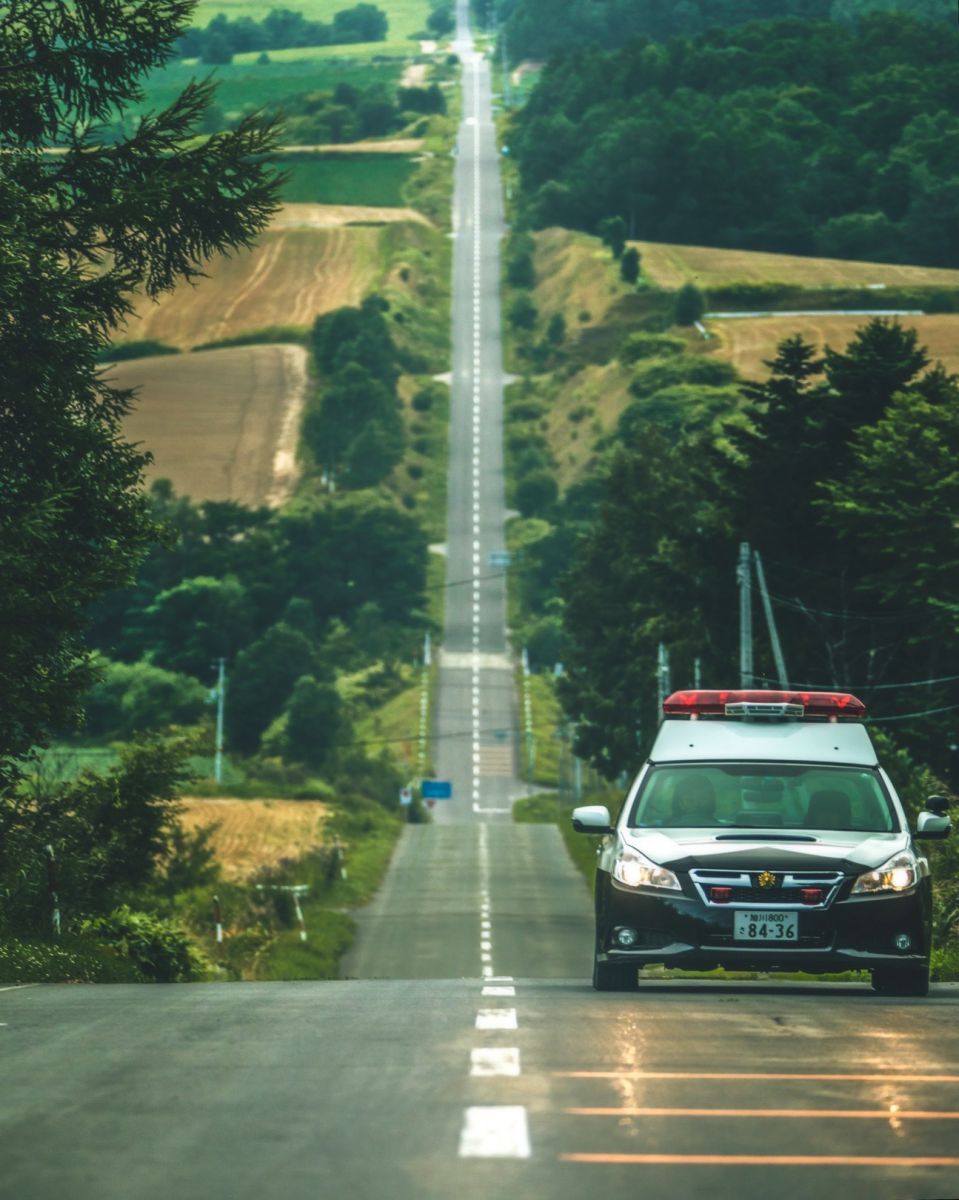 Go Straight | GANREF