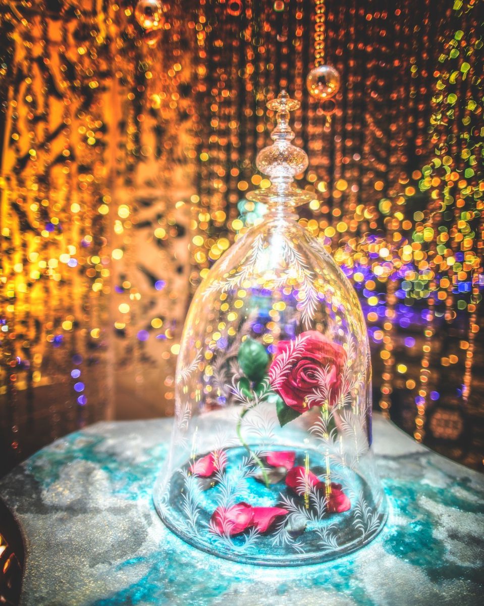 Beauty and the Beast. | GANREF