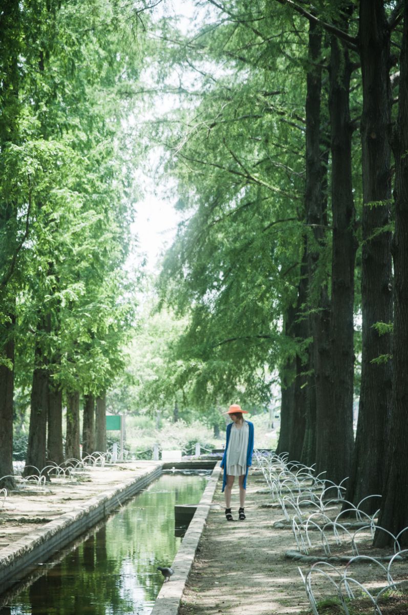 木漏れ日の中 | GANREF