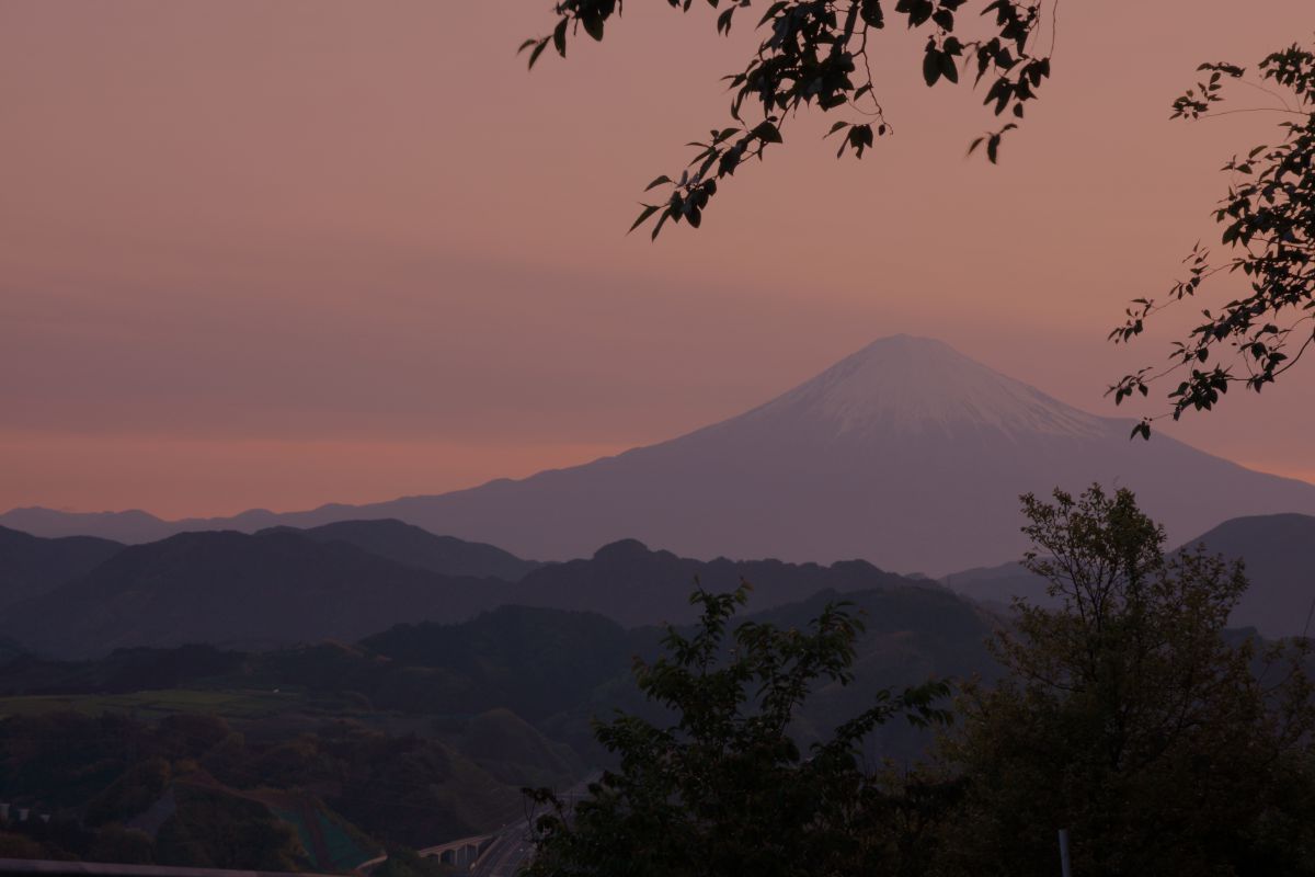 早起きし拝む | GANREF