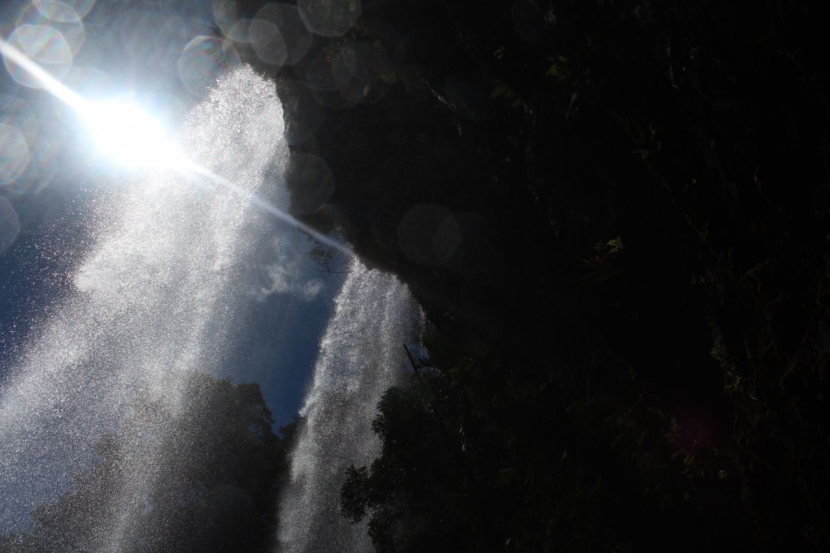 Springbrook | GANREF