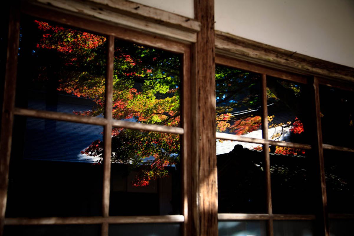 Autumn in window | GANREF