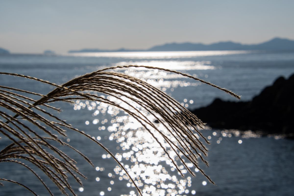 晩秋の海 | GANREF