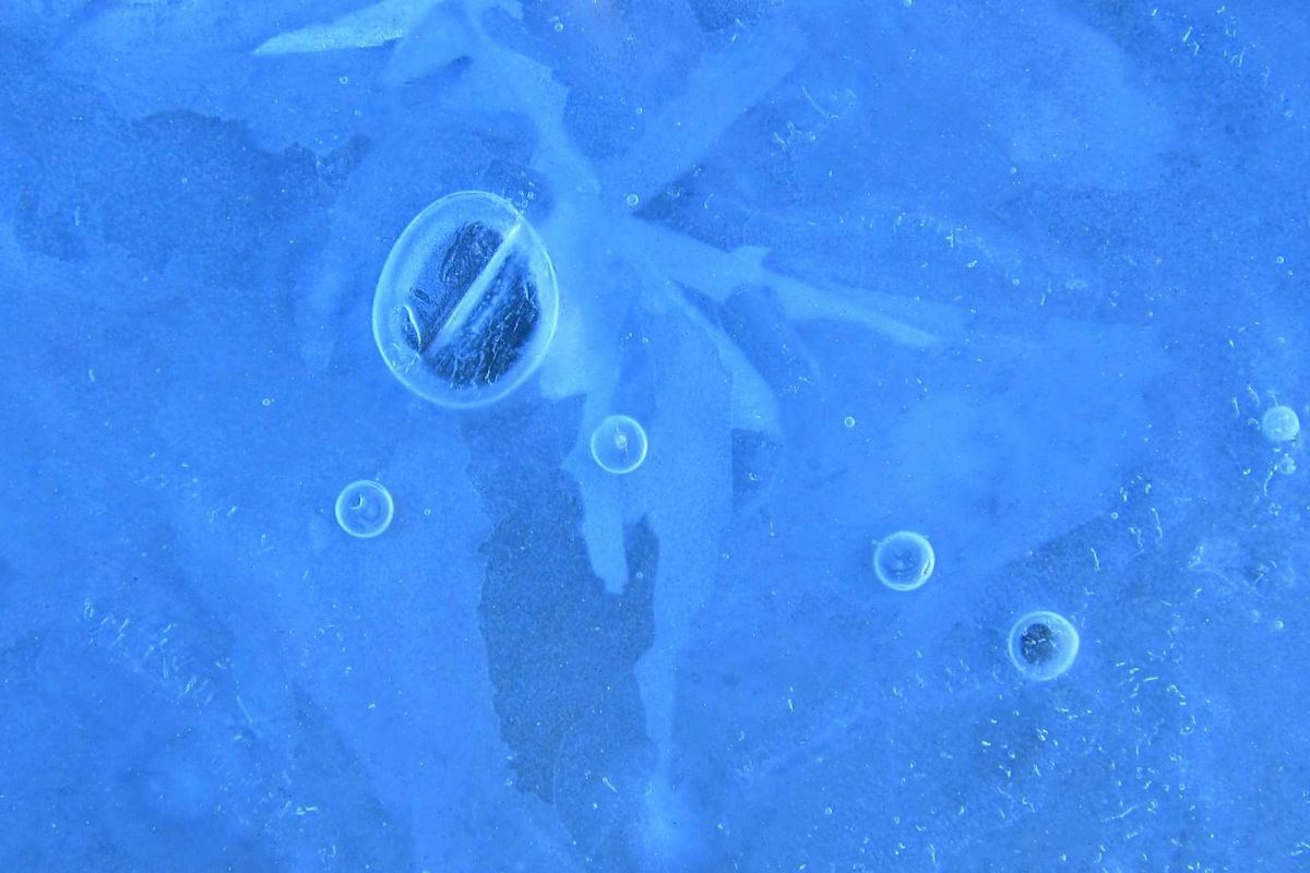 blue bubble | GANREF