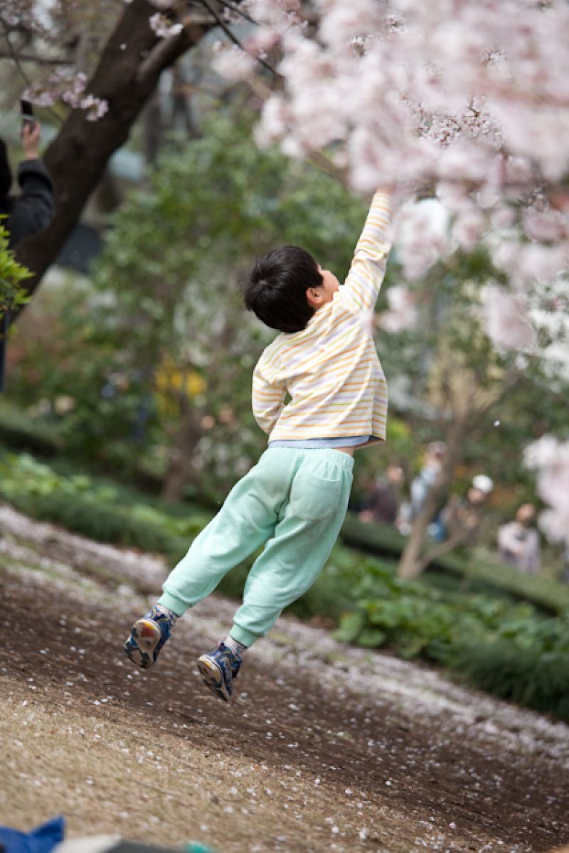 Nice jump！ | GANREF