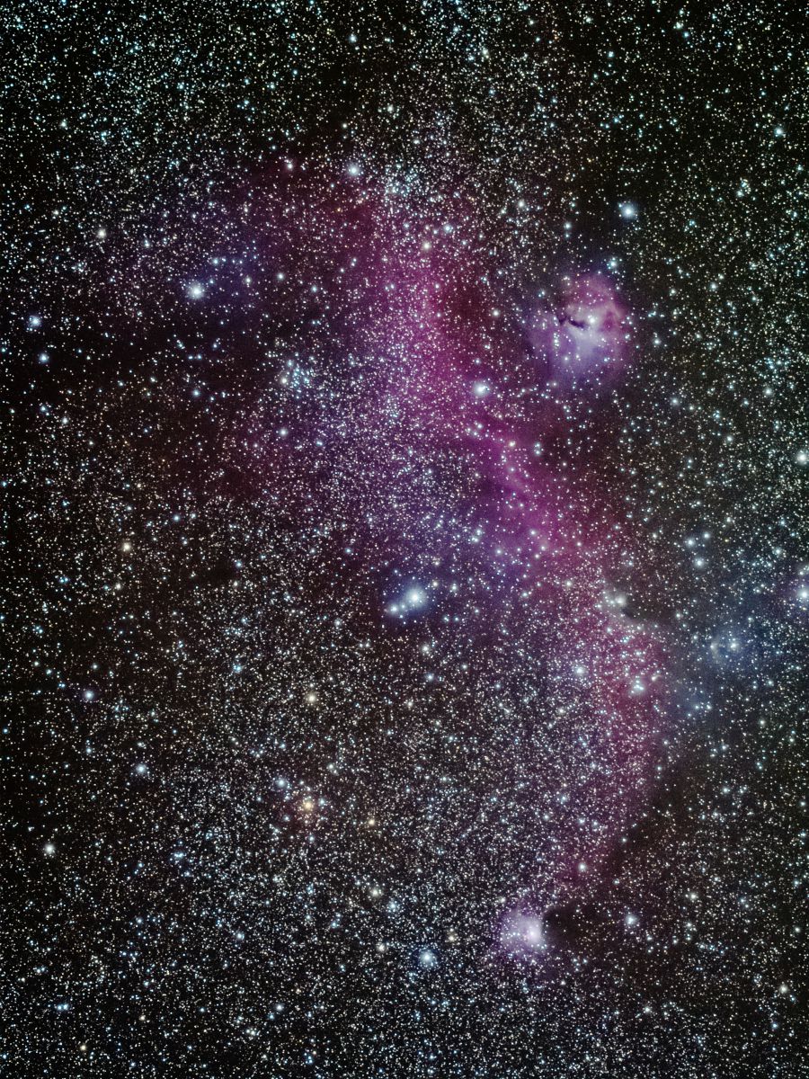 IC2177・Seagull nebula | GANREF