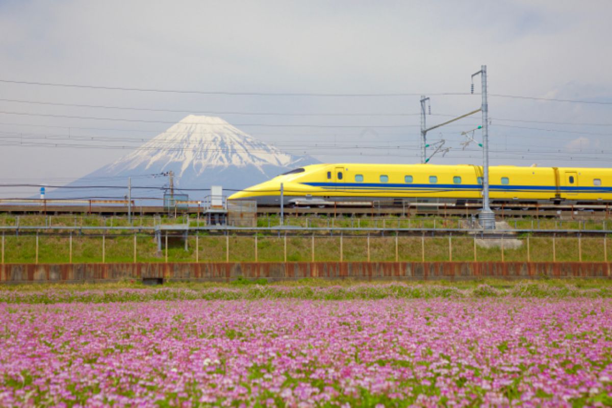 れんげとDrイエロー | GANREF